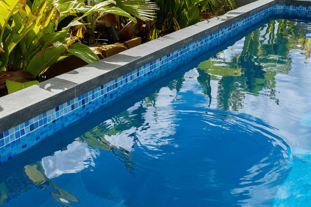 Explore Plungie’s New Add-ons, Modifications and Extras | Plungie AU