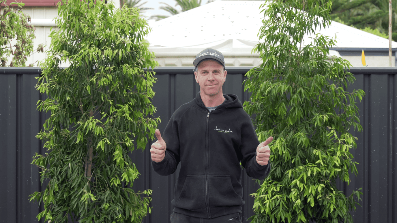 Christian Jenkins Landscape Design identified Plungie as the perfect ...