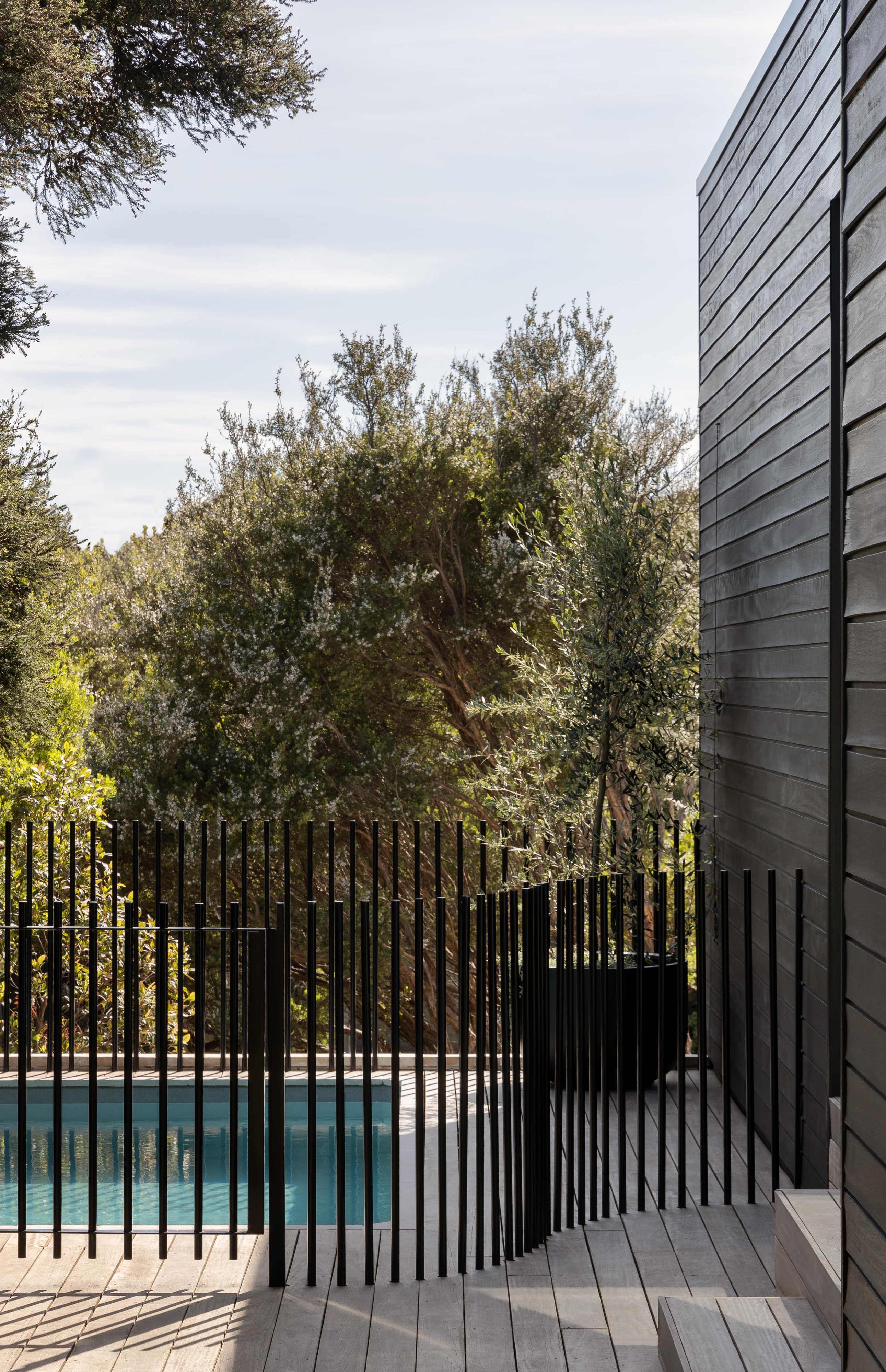 Plungie’s Carbon Footprint | Plungie US