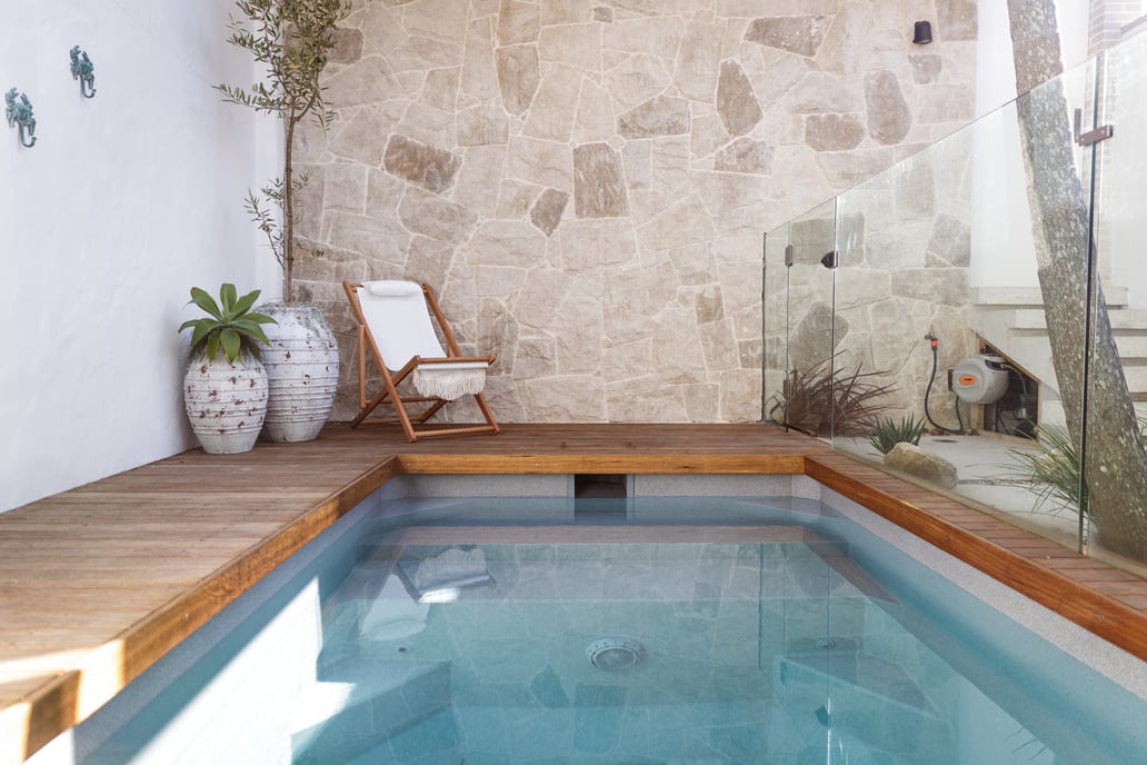 Save Time, Effort & Money with Plungie - What Other Pool Manufacturers ...
